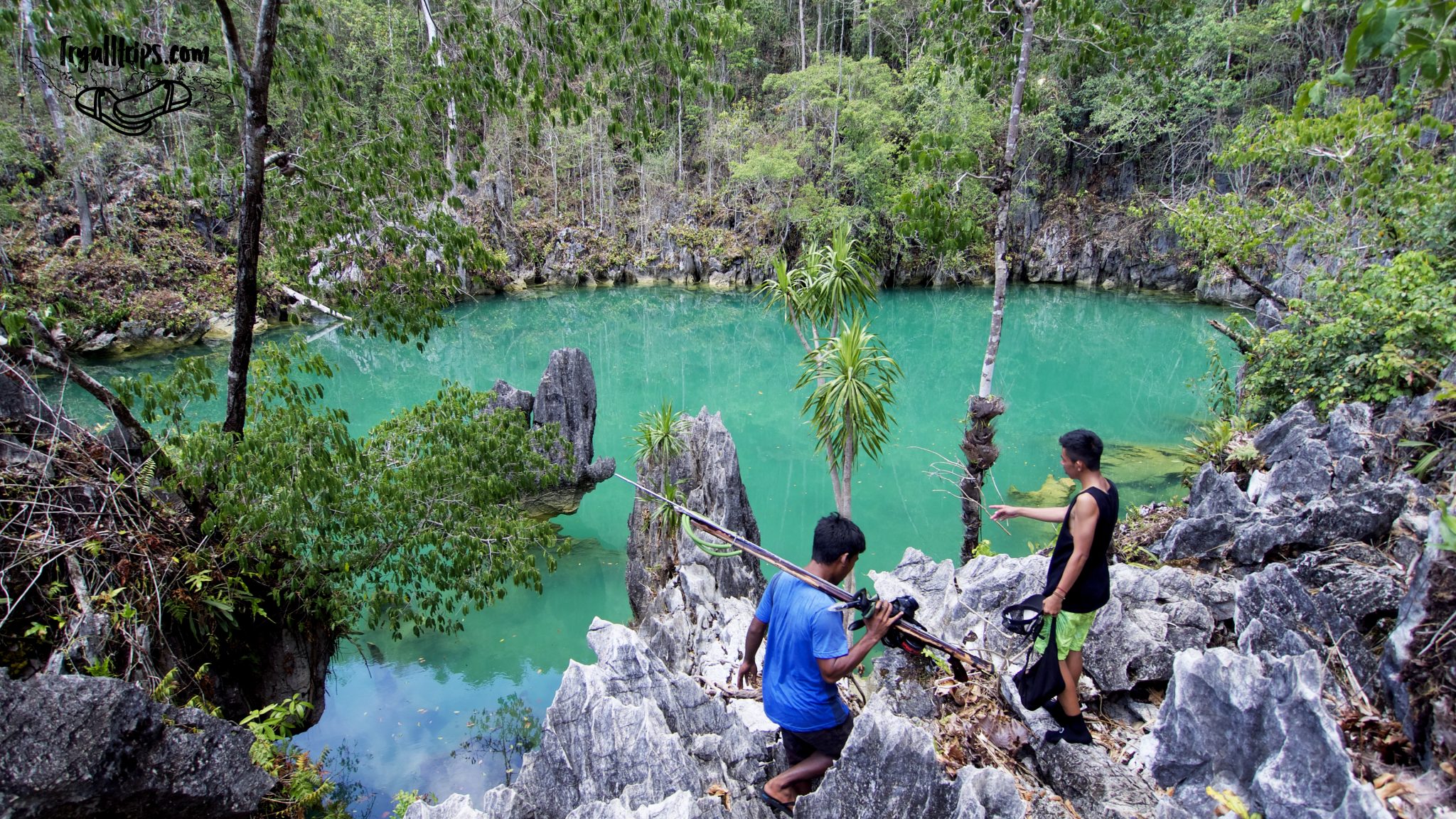 Qué hacer en Labengki y Sombori. Un paraíso aún por descubrir ...